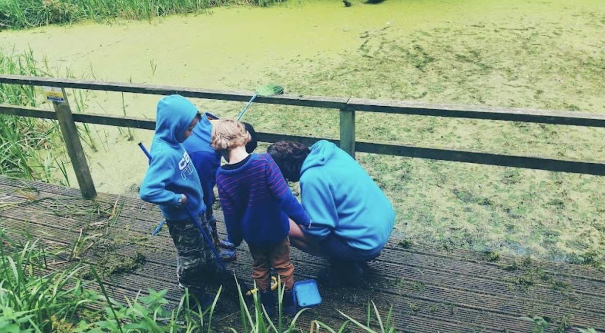 Pond Dipping - Beaudesert Outdoor Adventures
