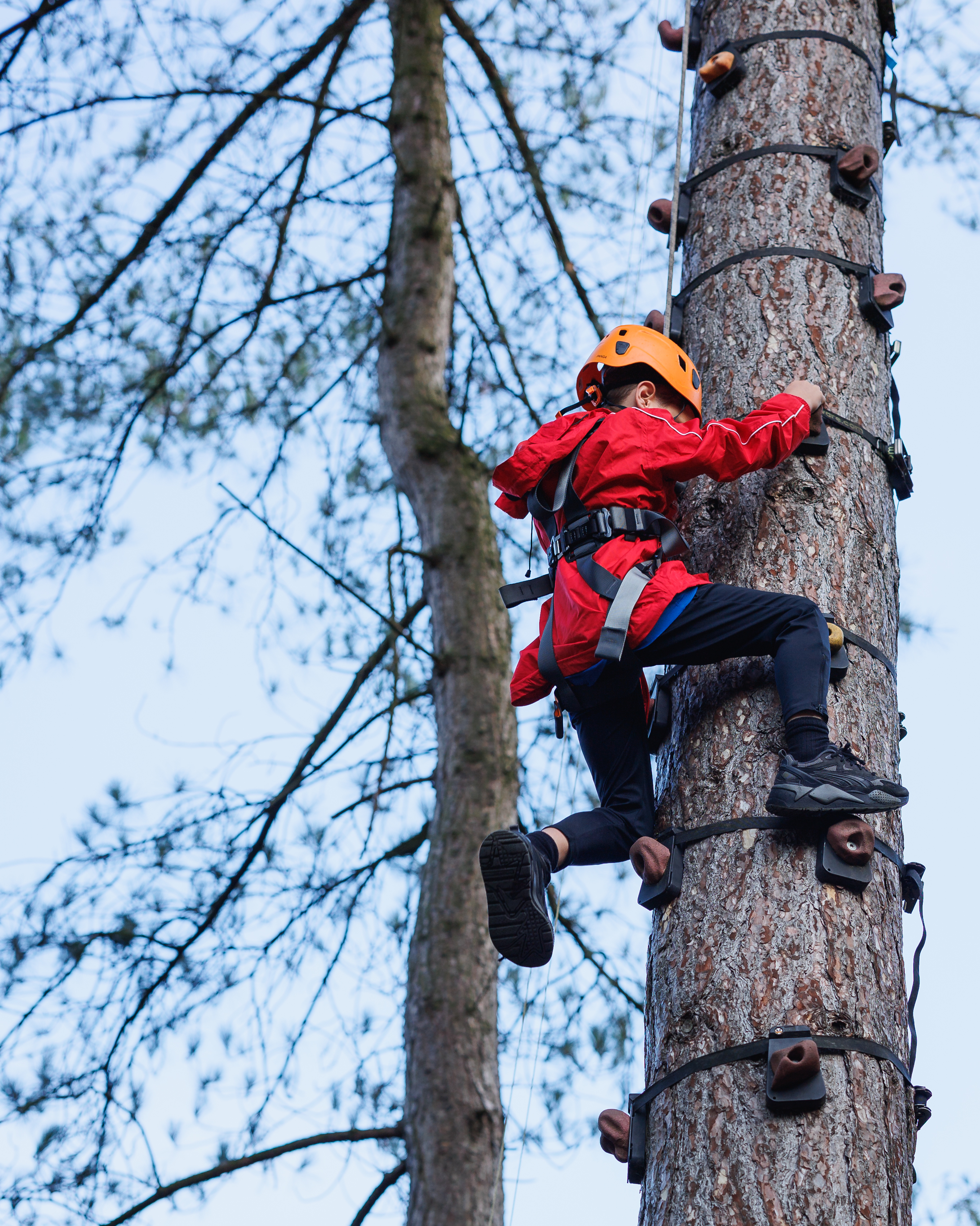 Monkey Trees - Beaudesert Outdoor Adventures